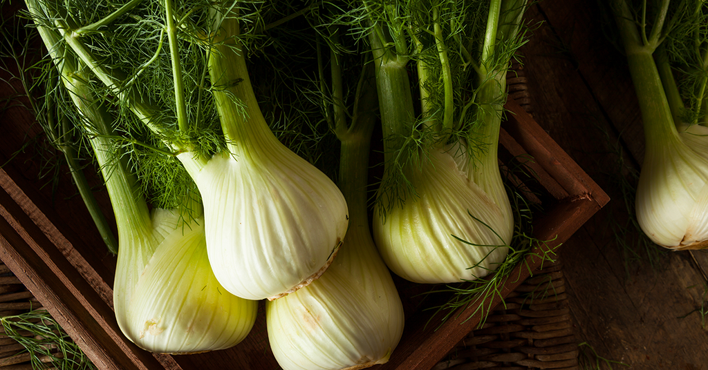 Eat It All! Fennel – Haylie Pomroy